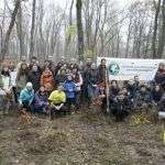 Pădurea Ciornuleasa, adăpost pentru puieți de stejar brumăriu